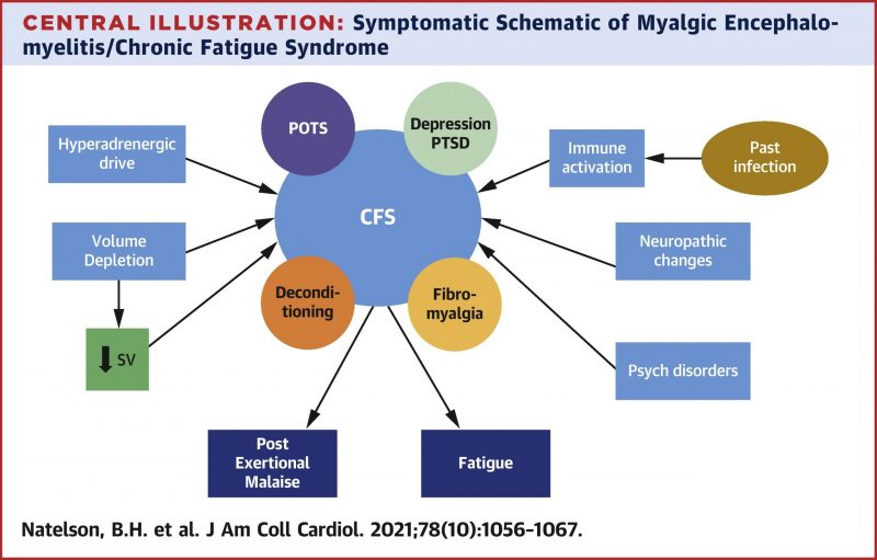Research review: CFS & cardiovascular disease | WAMES (Working for ME ...