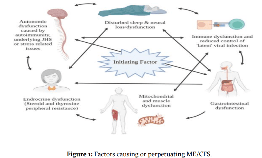 Research review: What causes ME/CFS: The role of the dysfunctional ...
